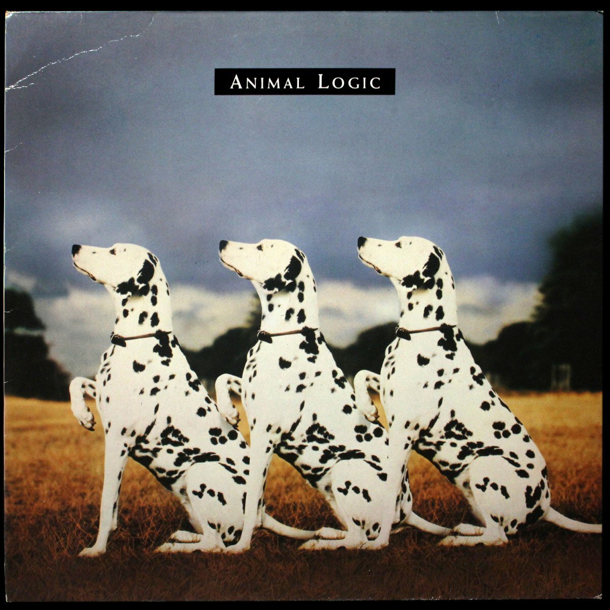 Виниловая пластинка Virgin Animal Logic – Animal Logic