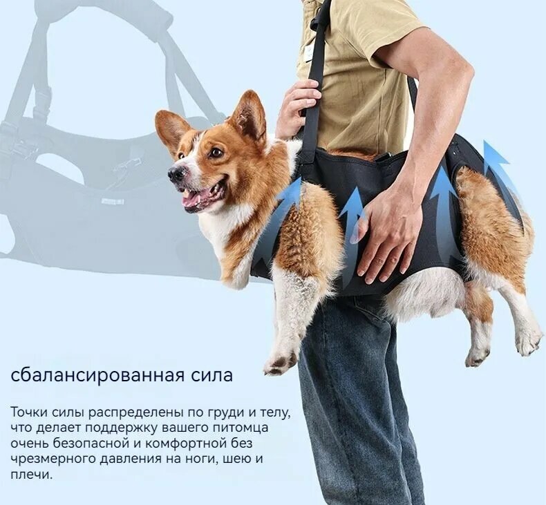 Реабилитационное Упражнение Ходунки Для Собак