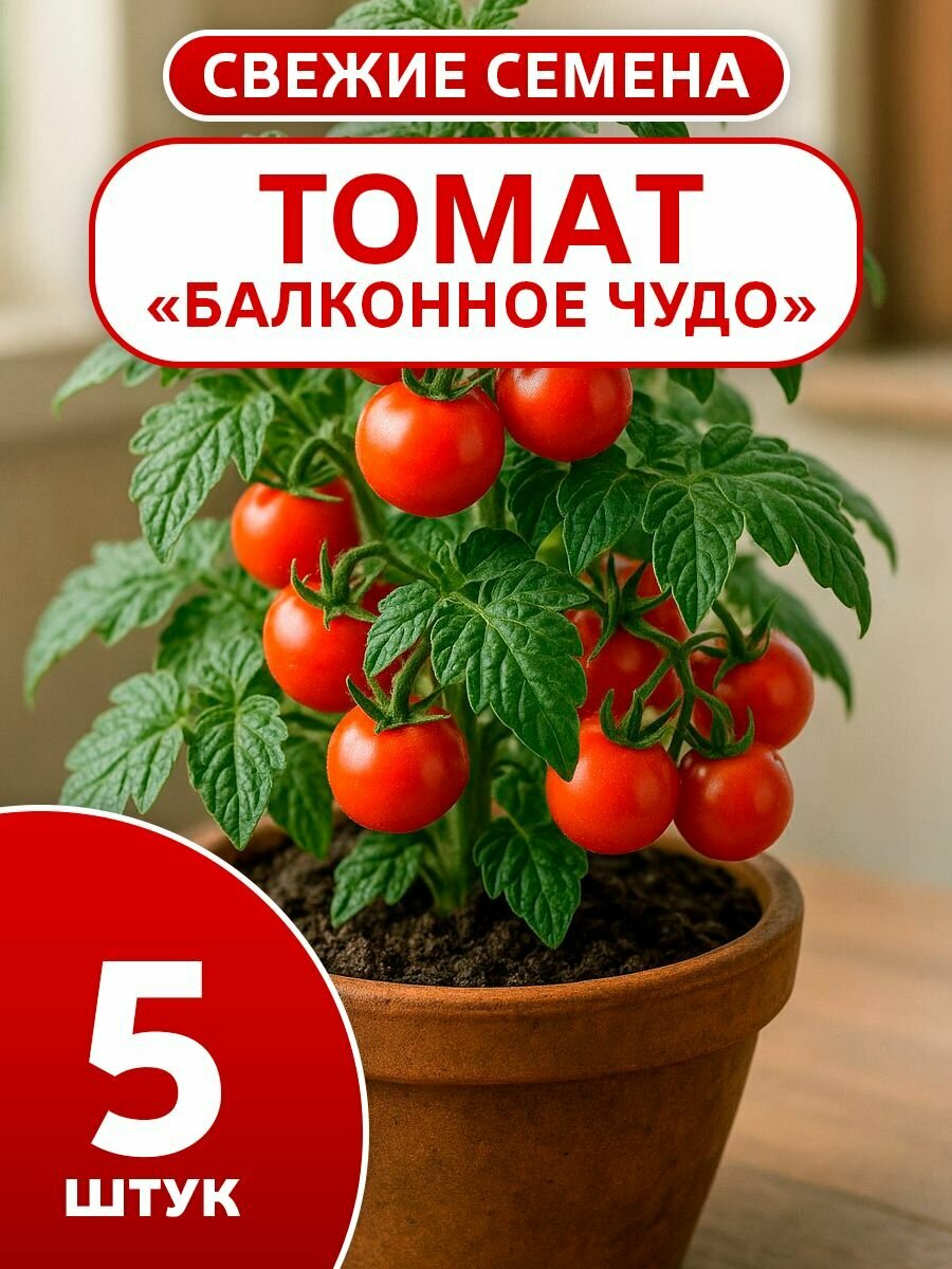Семена томата "Балконное чудо" для выращивания