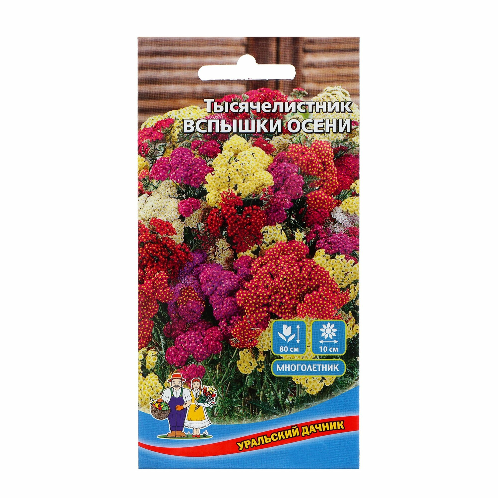 Семена цветов Уральский Дачник Тысячелистник "Вспышки осени", 0,1 г