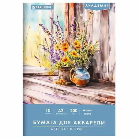3 шт. Папка для акварели большая А2, 10 л, 200 г/м2, 400х590 мм, BRAUBERG академия, "Полевые цветы", 117739