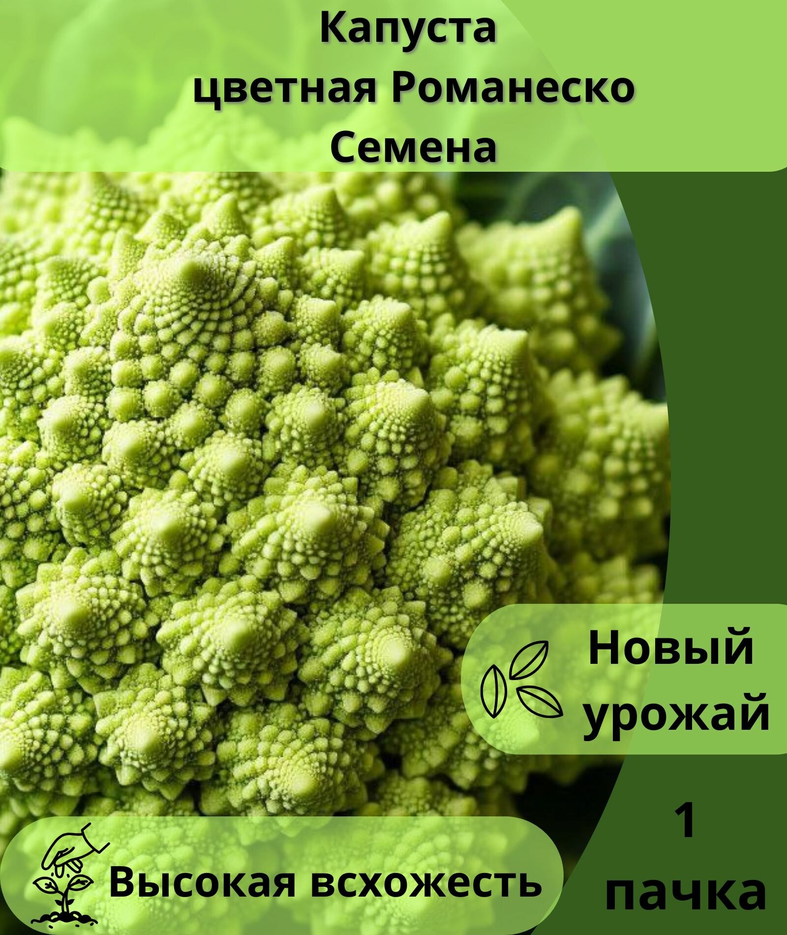 Капуста цветная Романеско, семена 10шт