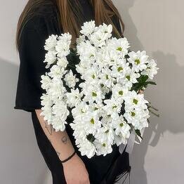 Ромашка хризантема кустовая с зеленой серединой белые цветы подарок белый букет