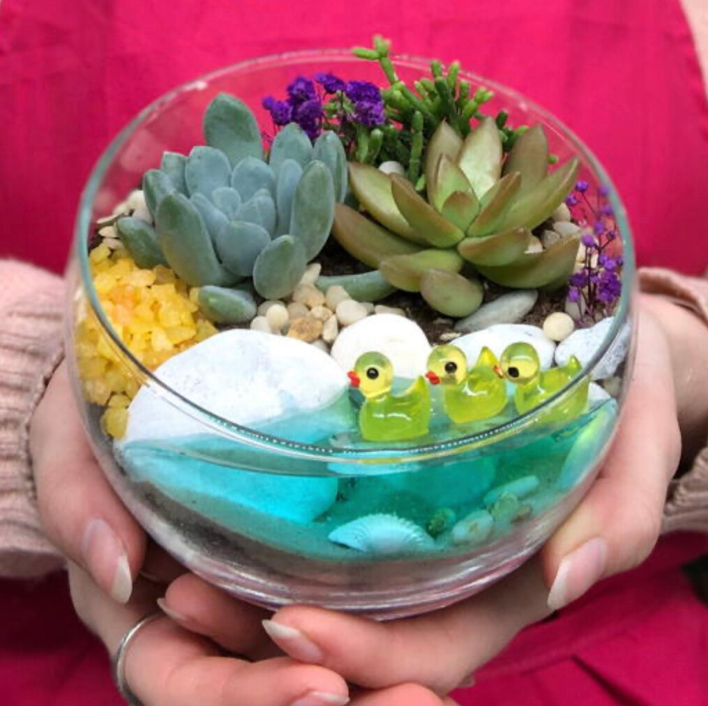 Флорариум "Утиные истории: антикризис", с суккулентами и имитацией воды