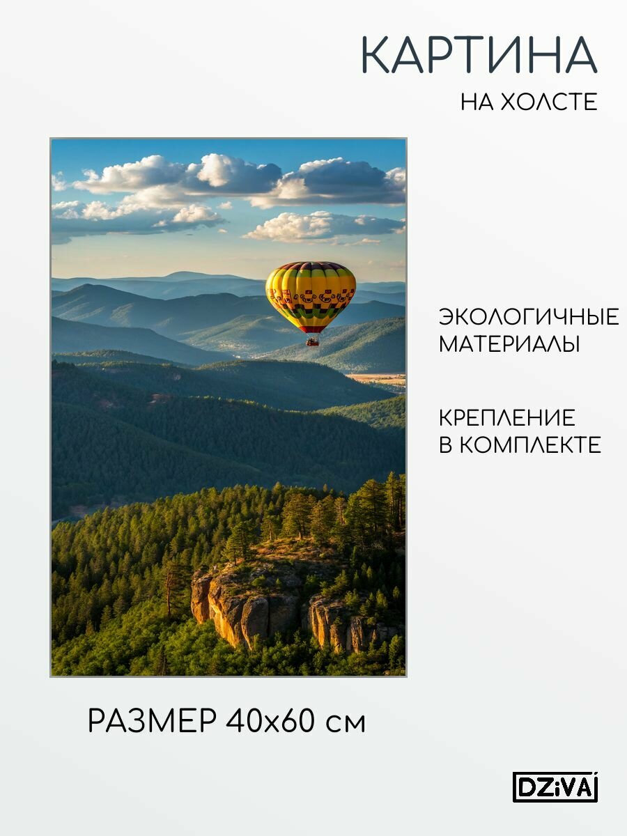 Картина на холсте Баллон 40x60 см