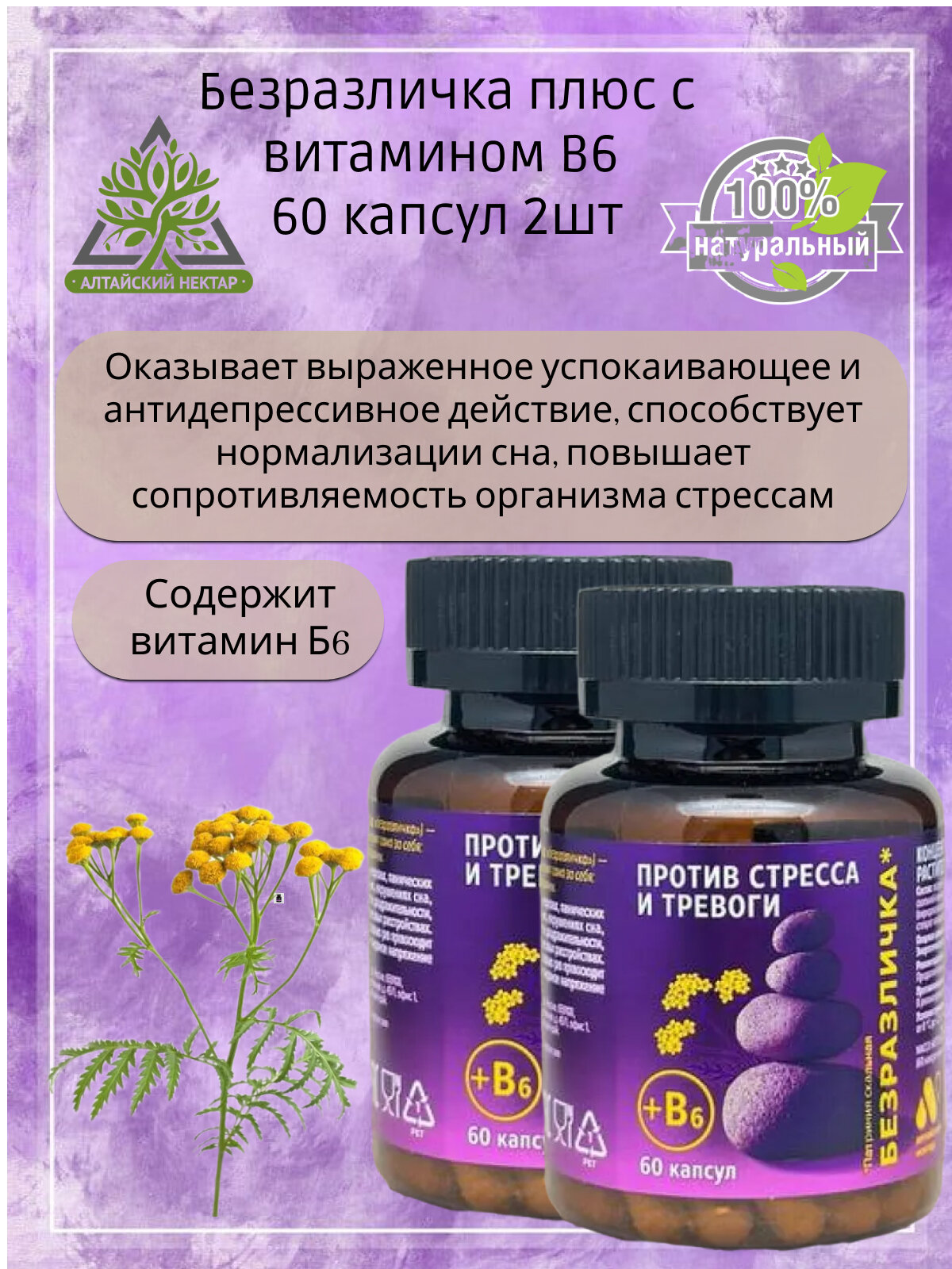 Алтайский нектар Безразличка плюс с витамином В6, для поддержки нервной системы, 60 капс, 2 шт
