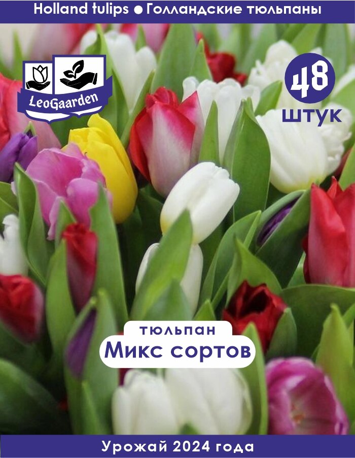Тюльпан Луковица, Микс сортов, 48шт (LeoGaarden)
