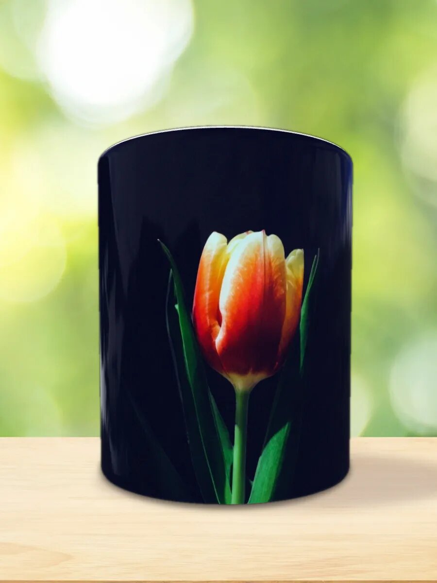 Кружка Тюльпан
