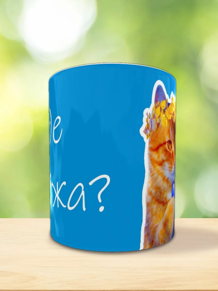 Кружка Где Серёжа?