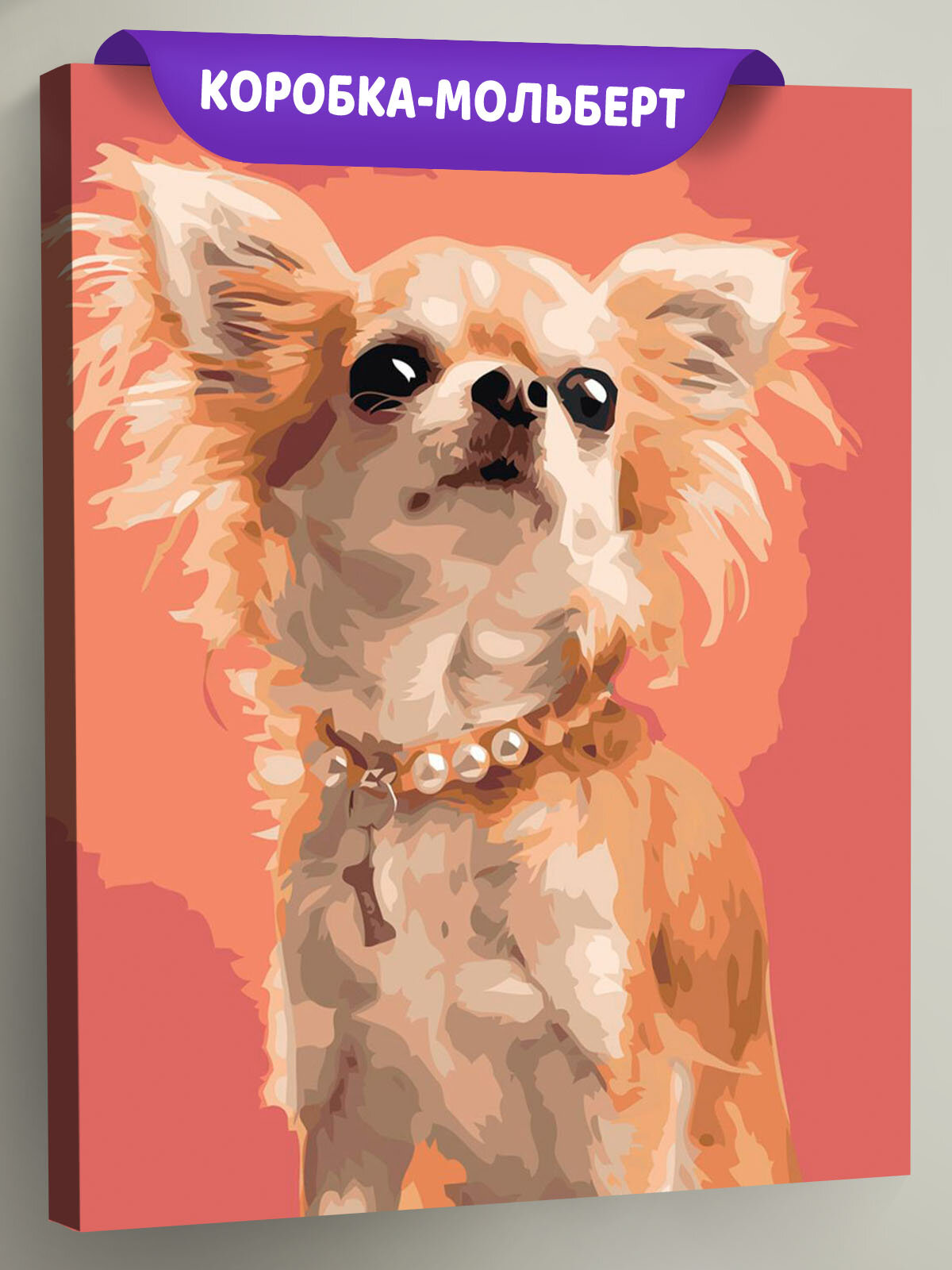 Картина по номерам на холсте с подрамником "Собаки: чихуахуа с пушистыми ушами" Раскраска 40x50 см, Животные Детская