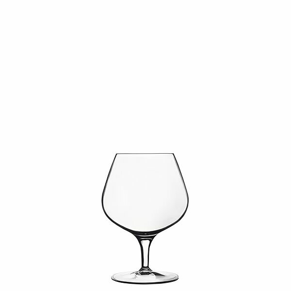 Набор из 6 бокалов для коньяка Michelangelo Masterpiece