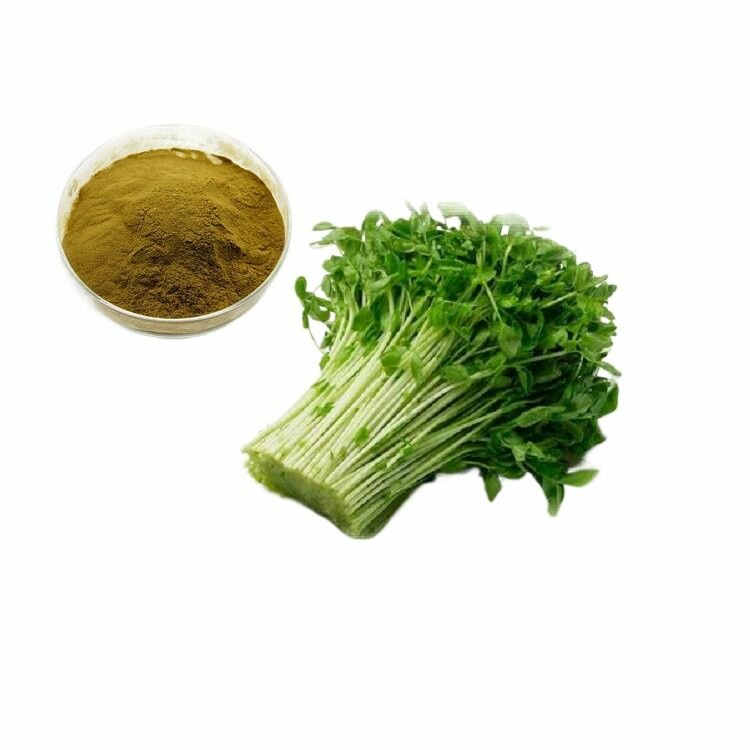 10:1 Порошок экстракта проростков гороха , Pea Sprout Extract 200 г