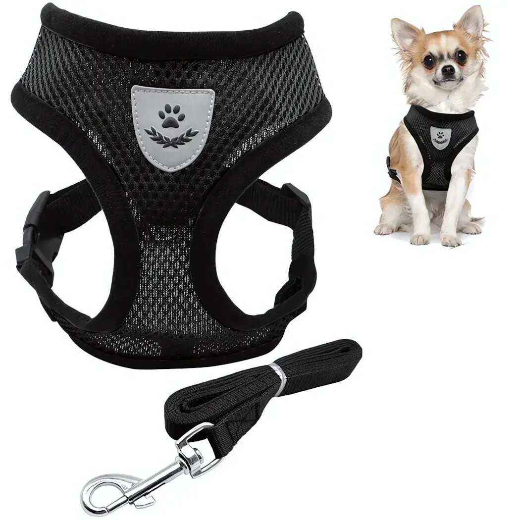 Шлейка с поводком 'Sweet puppy' размер S, черная, нейлон/металл