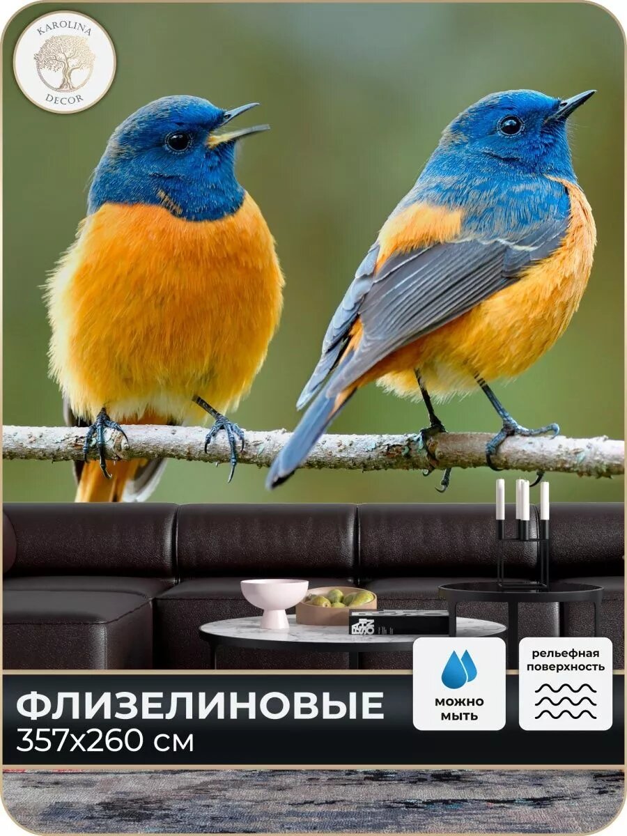 Фотообои Птицы в детскую в спальню на кухню 350х260