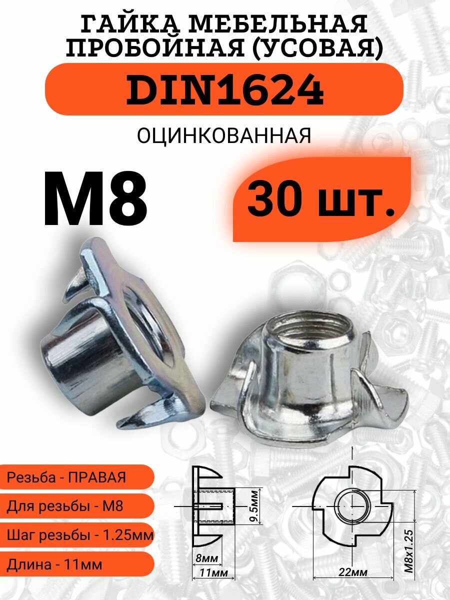Гайка М8 мебельная врезная (пробойная, усовая) DIN1624, оцинкованная, 30 шт.