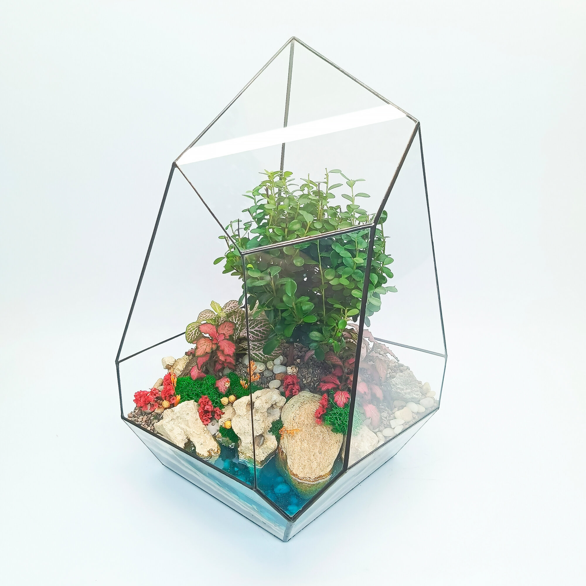 Бонсай Мирсина Африканская с озером во флорариуме Гранит 28х35см