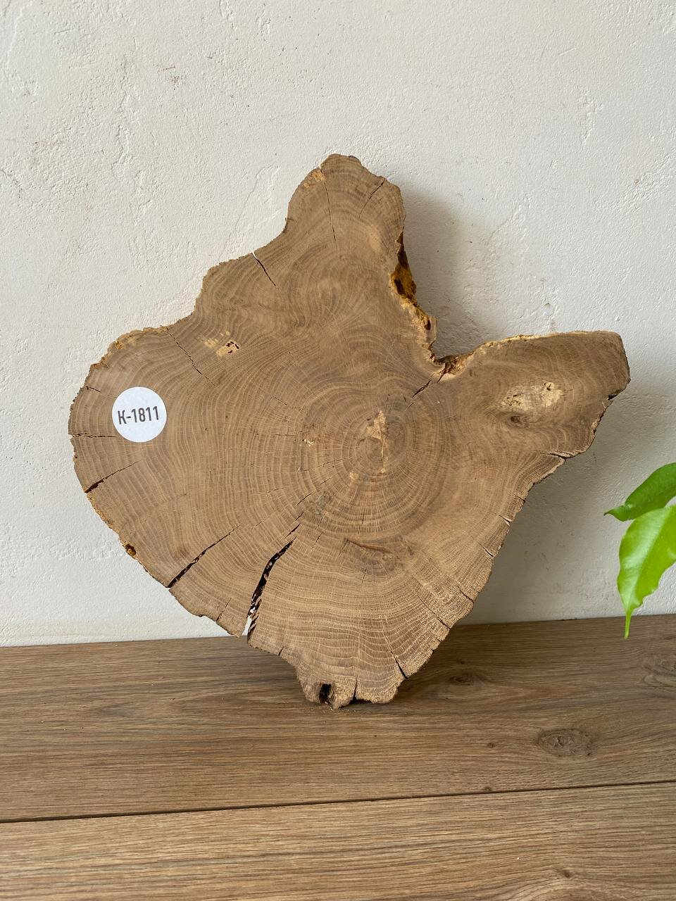 Спил дуб . Габаритные размеры 36х32х4 см. Шлифованный с 2-х сторон. к1811