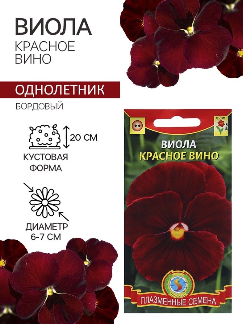Семена Плазмас Виола "Красное вино", вес 0.1 грамм, цветной пакет