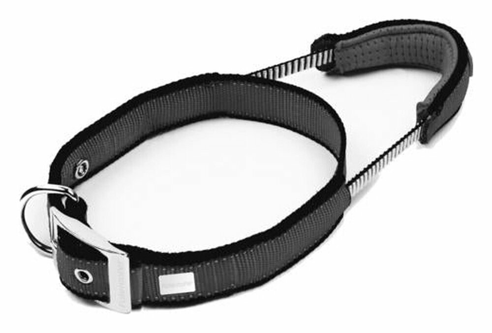 Ошейник для собакPatento Pet Basic Collar, размер XL, цвет черный