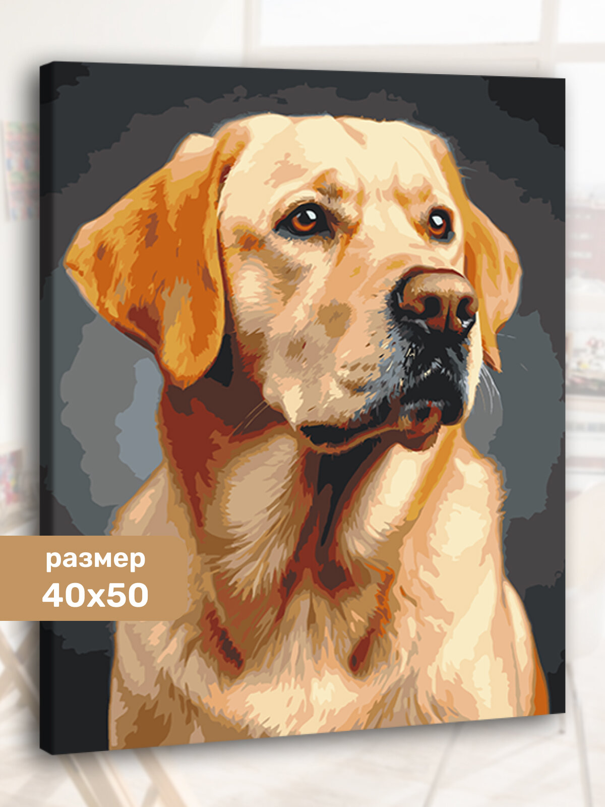 Картина по номерам на холсте и подрамнике " Лабрадор желтый " 40x50 см