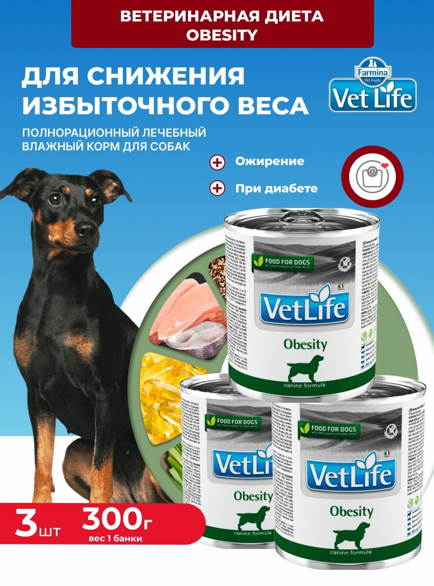 Диетический влажный корм для собак 3шт 300г Контроль веса, ожирение, избыточный вес, Farmina Вет Лайф Обесити vet life obesity