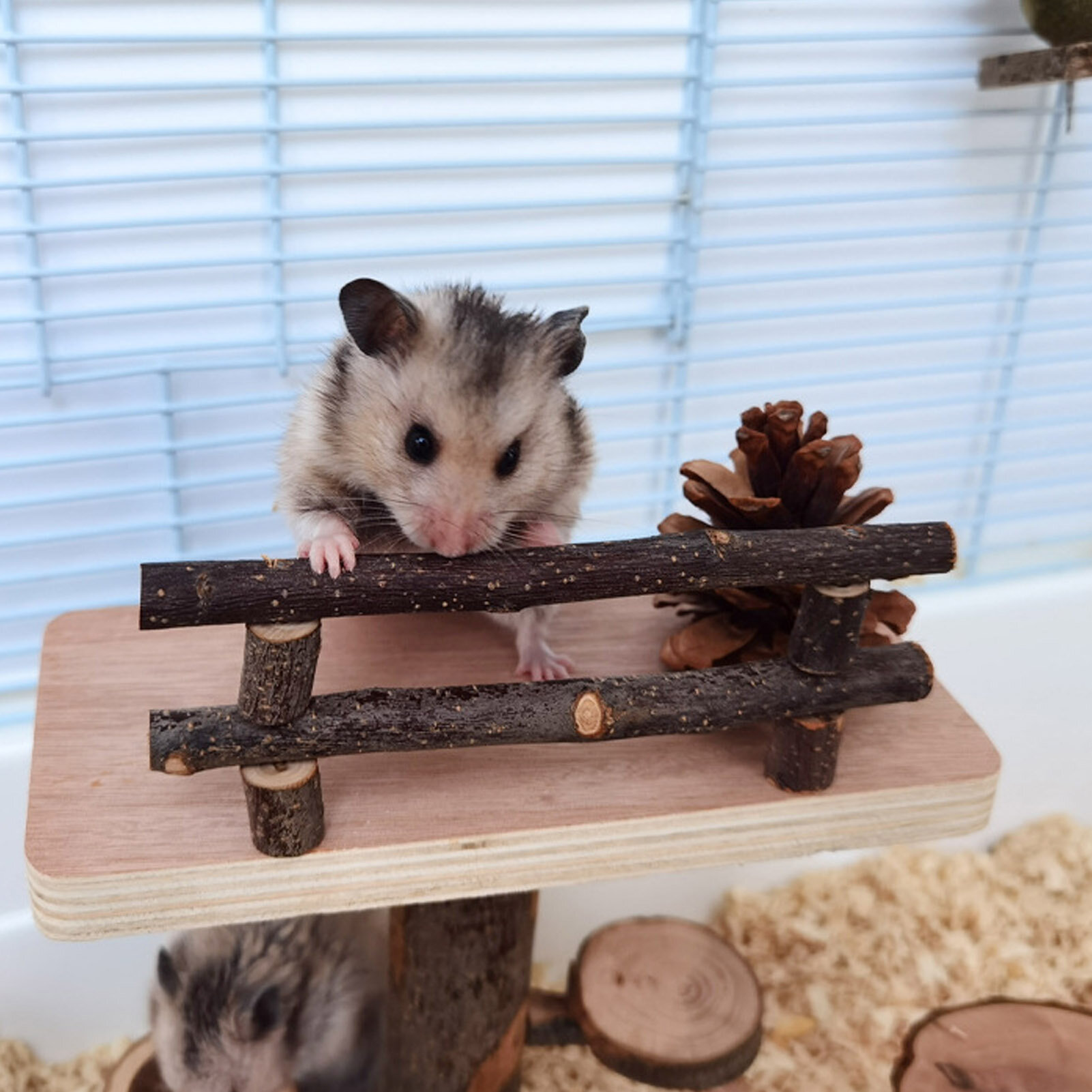 Игрушечная платформа для хомяка, деревянный набор для игр с хомяком для мышей-хомяков, мелких животных