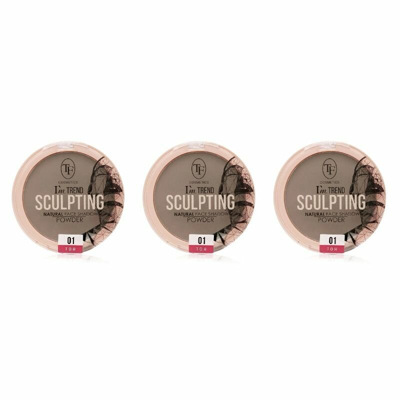 TF Cosmetics Пудра скульптор Sсulpting I mTrend тон 01 легкая тень, 3 шт