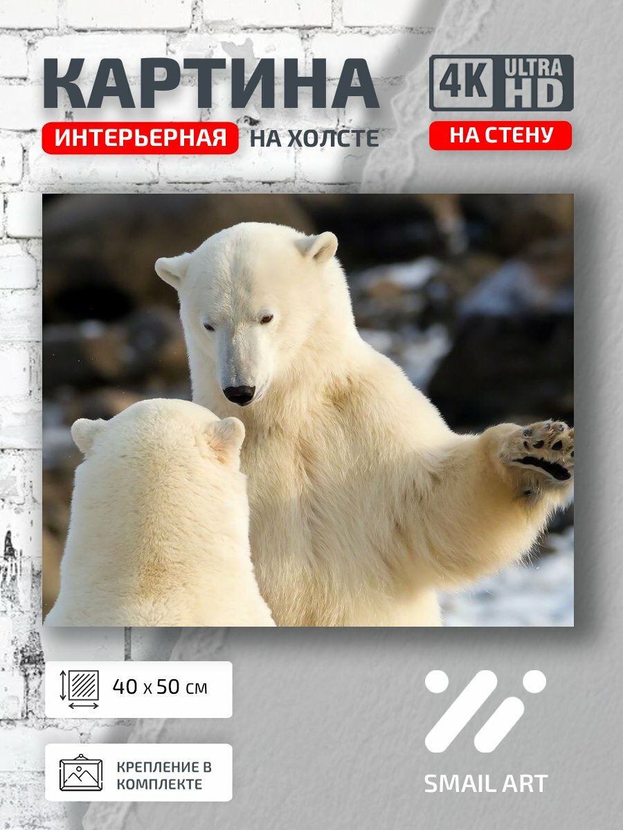 Картина на холсте интерьерная 40 на 50 на стену Медведи Animal для кабинета animal style