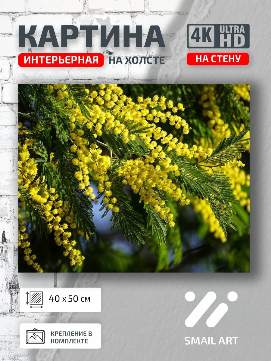 Картина на холсте интерьерная 40 на 50 на стену Мимозы Landscape для гостиной пейзаж декор