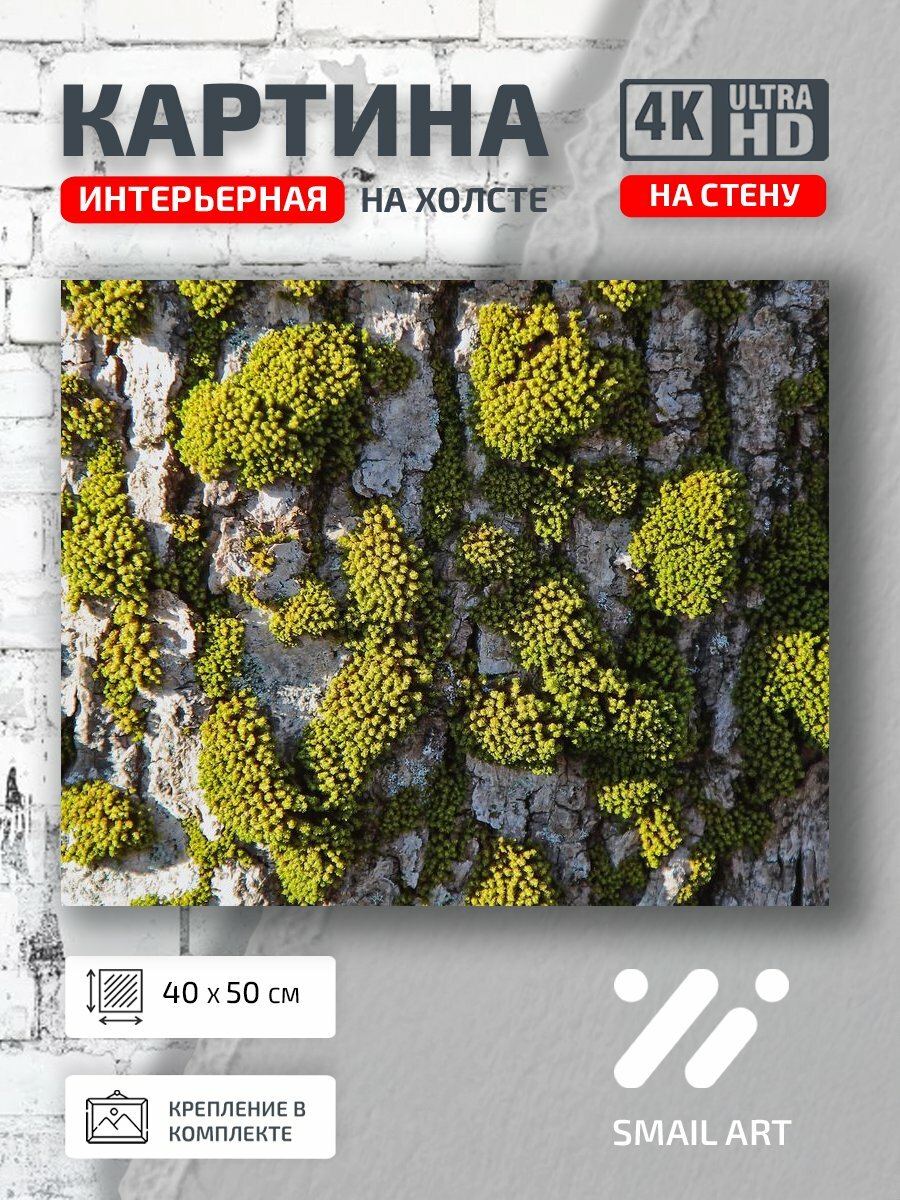 Картина на холсте интерьерная 40 на 50 на стену План Landscape для кафе пейзаж интерьер