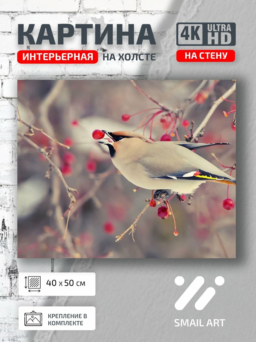 Картина на холсте интерьерная 40 на 50 на стену Сойка Landscape для спальни пейзаж интерьер