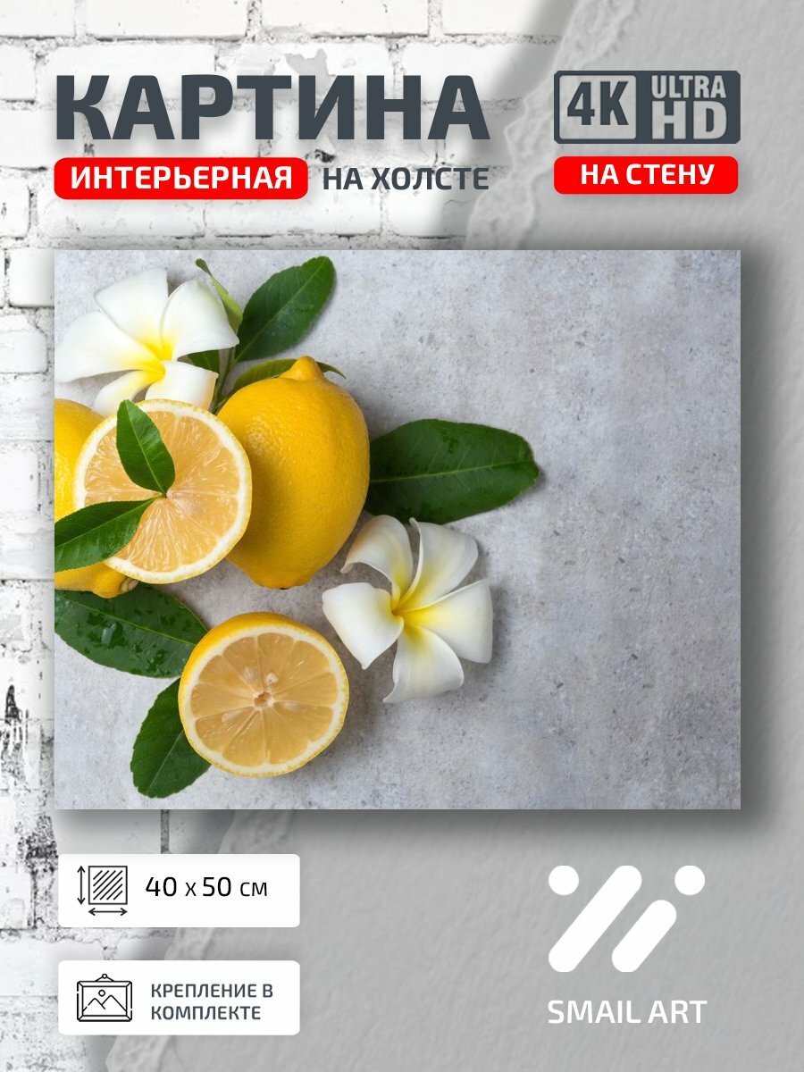 Картина на холсте интерьерная 40 на 50 на стену Орхидея Food для кафе кулинария интерьер