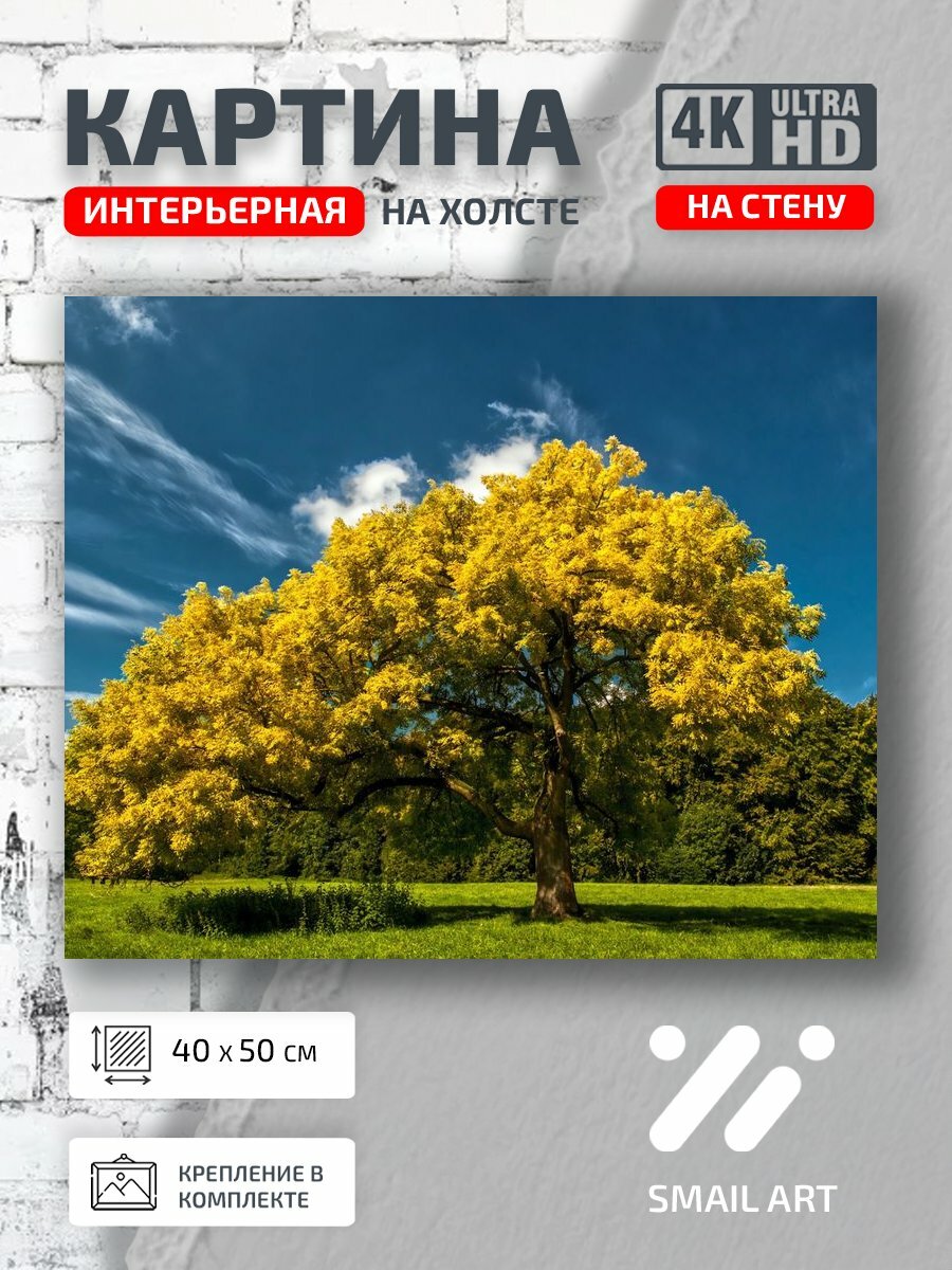 Картина на холсте интерьерная 40 на 50 на стену Поле Landscape для кабинета пейзаж интерьер