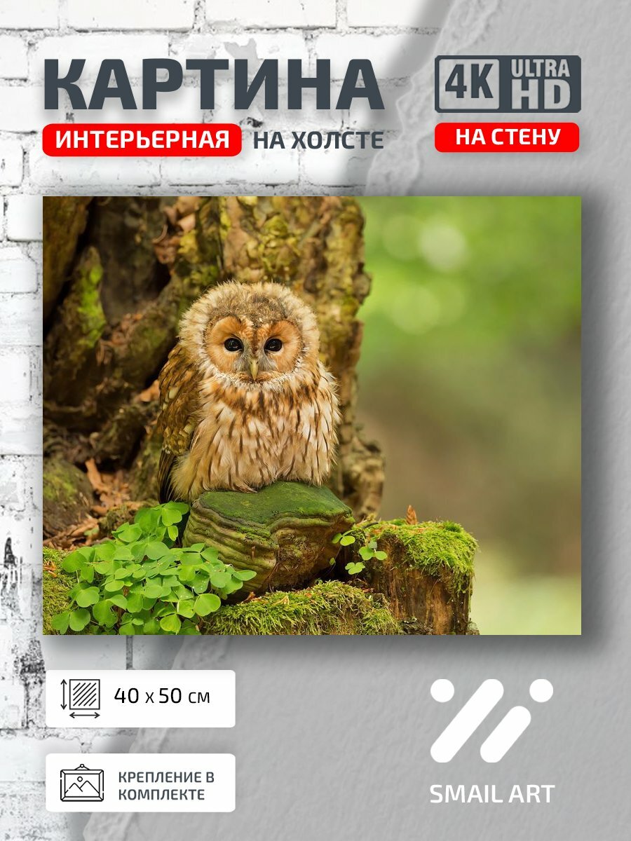 Картина на холсте интерьерная 40 на 50 на стену Дерево Landscape для гостиной пейзаж декор