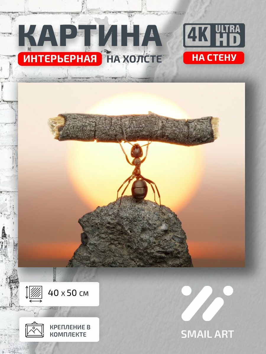 Картина на холсте интерьерная 40 на 50 на стену Солнце Macro для гостиной макро интерьер