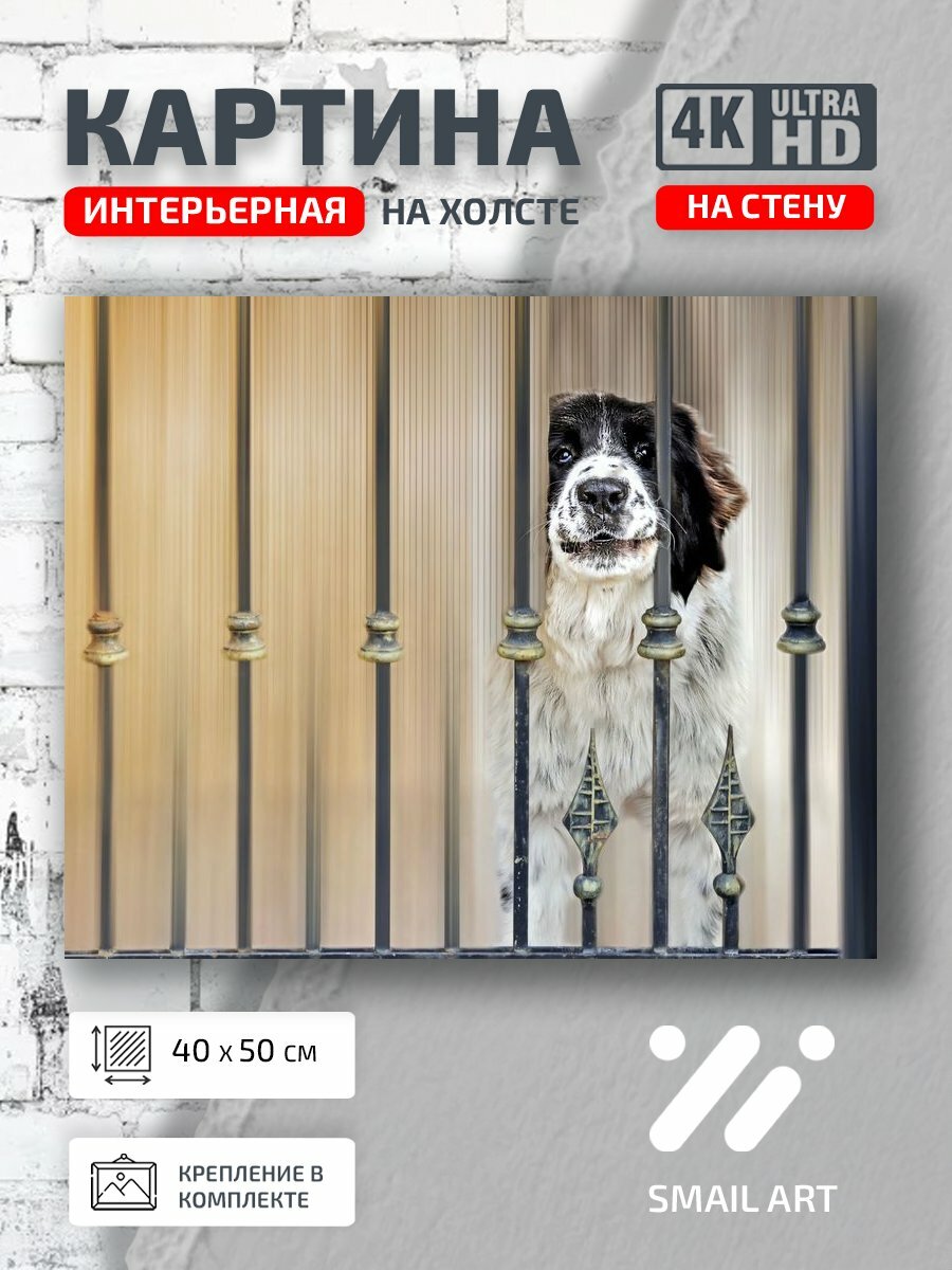 Картина на холсте интерьерная 40 на 50 на стену Забор Animal для кабинета animal style