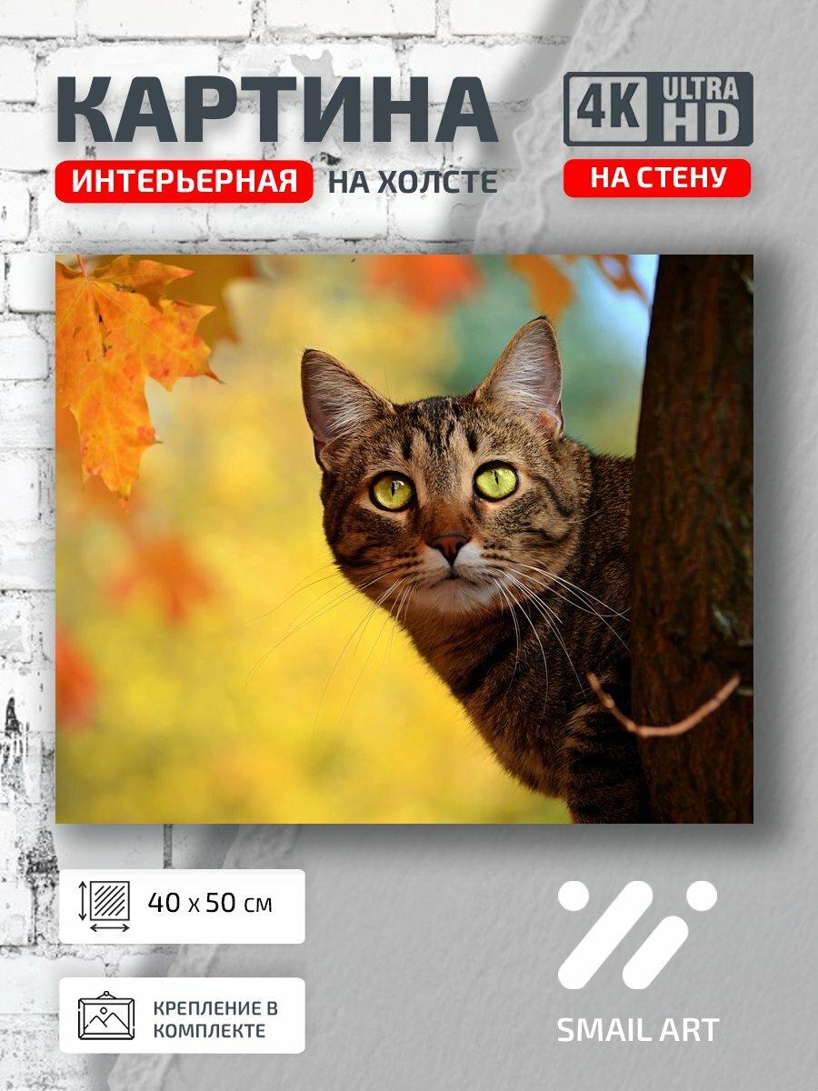 Картина на холсте интерьерная 40 на 50 на стену Деревья Landscape для кафе пейзаж интерьер