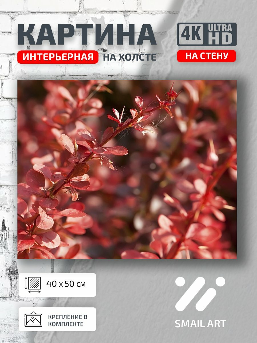 Картина на холсте интерьерная 40 на 50 на стену Солнце Landscape для гостиной пейзаж декор