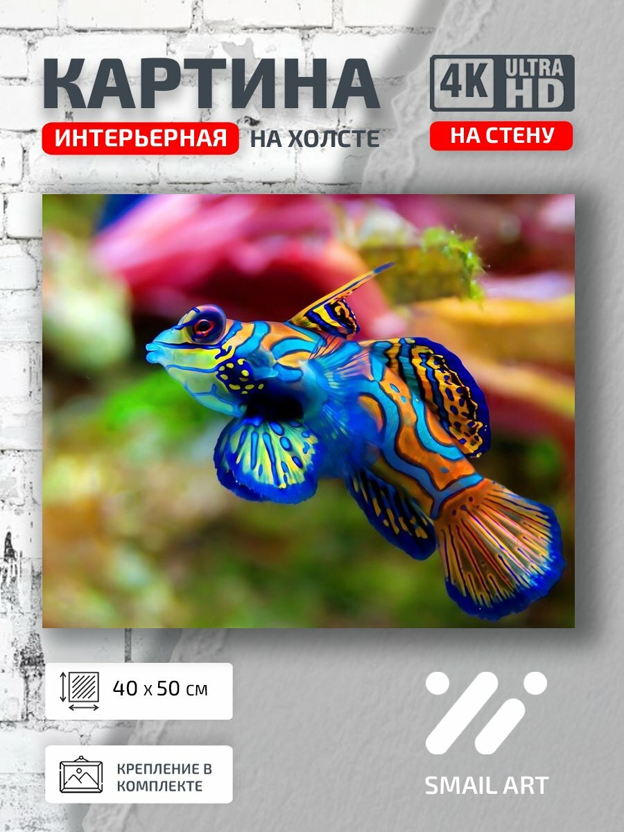Картина на холсте интерьерная 40 на 50 на стену Рыбка Mood для студии атмосфера интерьер