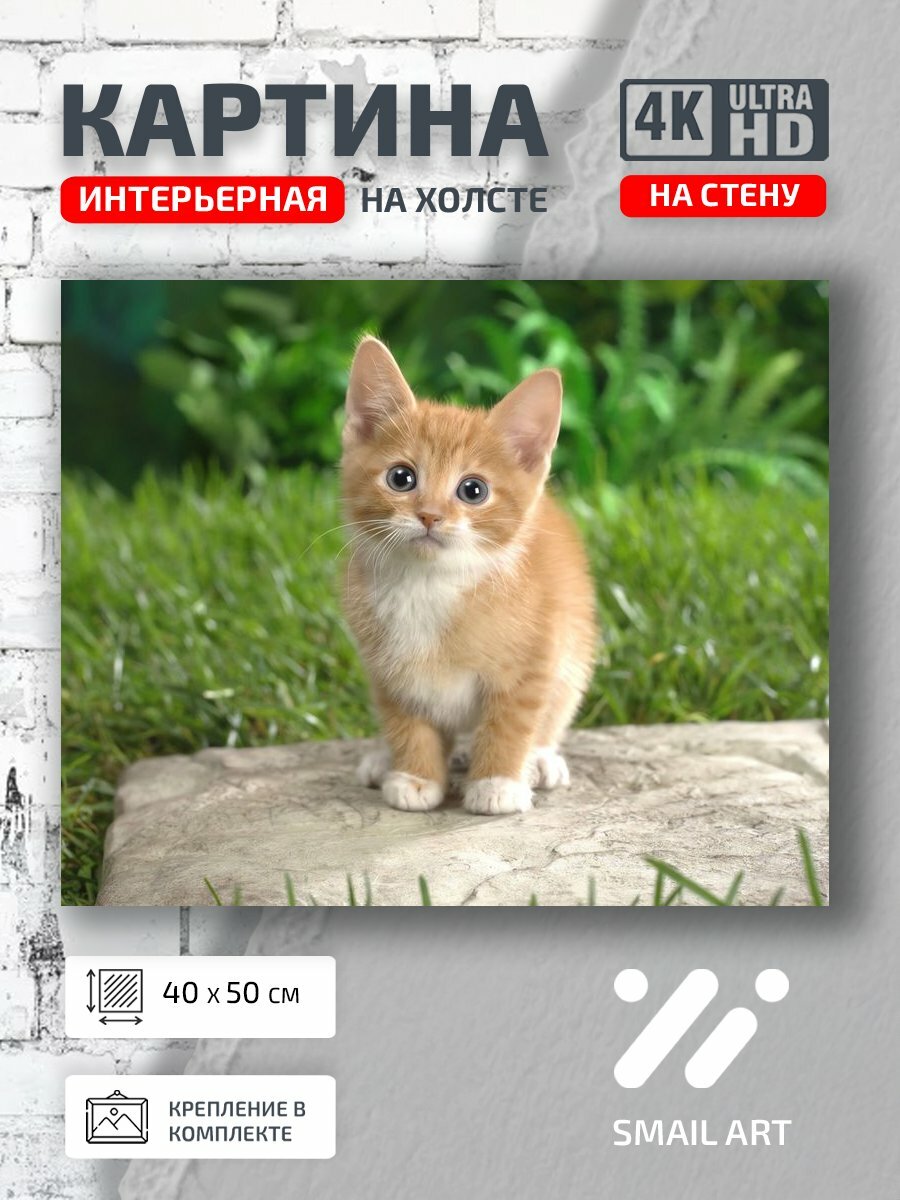 Картина на холсте интерьерная 40 на 50 на стену Трава Animal для спальни animal style декор
