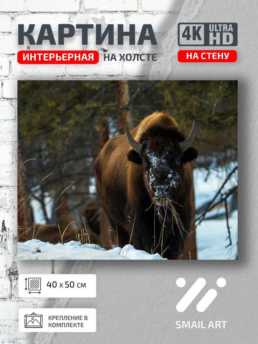 Картина на холсте интерьерная 40 на 50 на стену Бизон Landscape для кабинета пейзаж декор