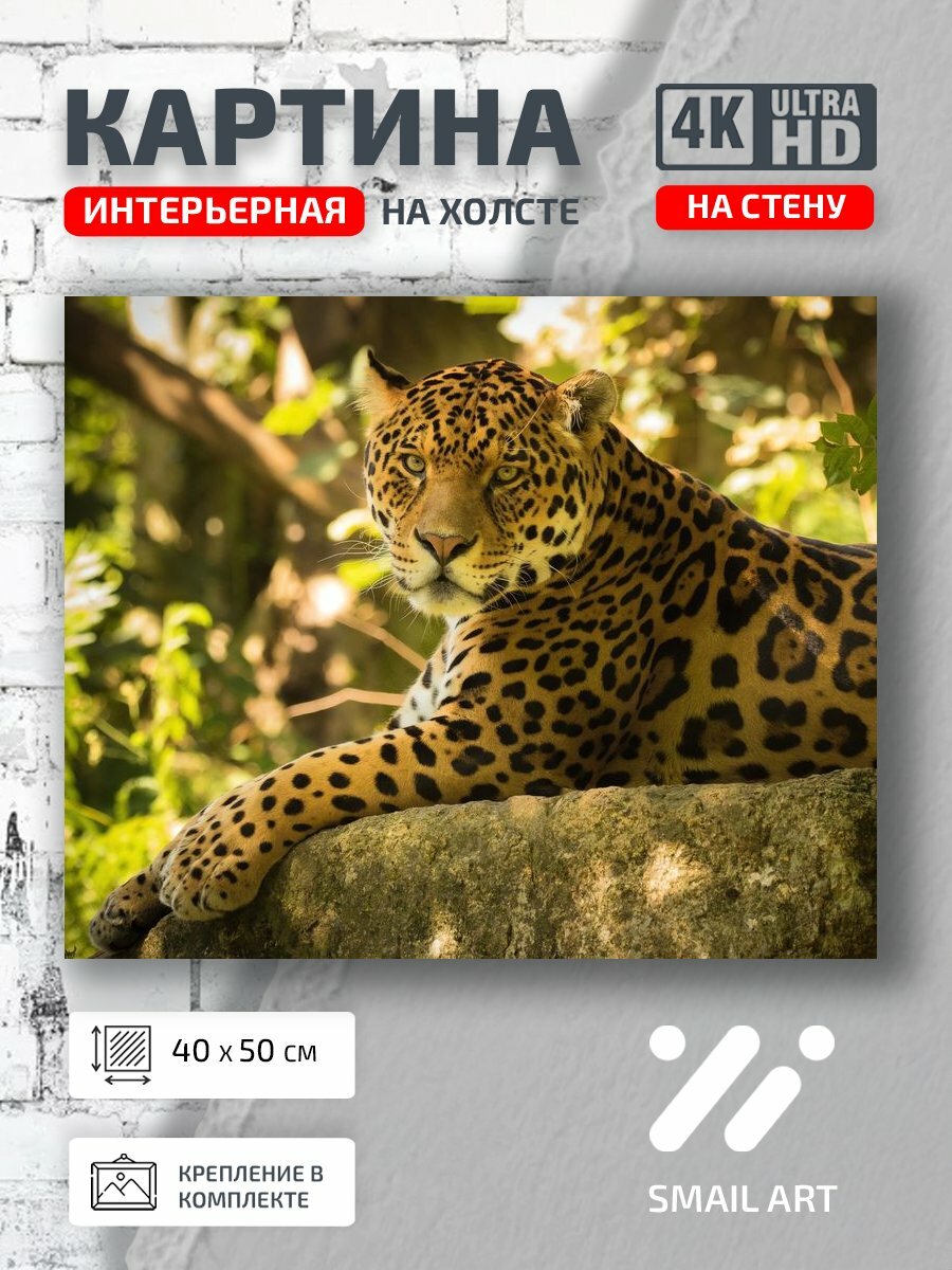 Картина на холсте интерьерная 40 на 50 на стену Камень Mood для кабинета атмосфера интерьер