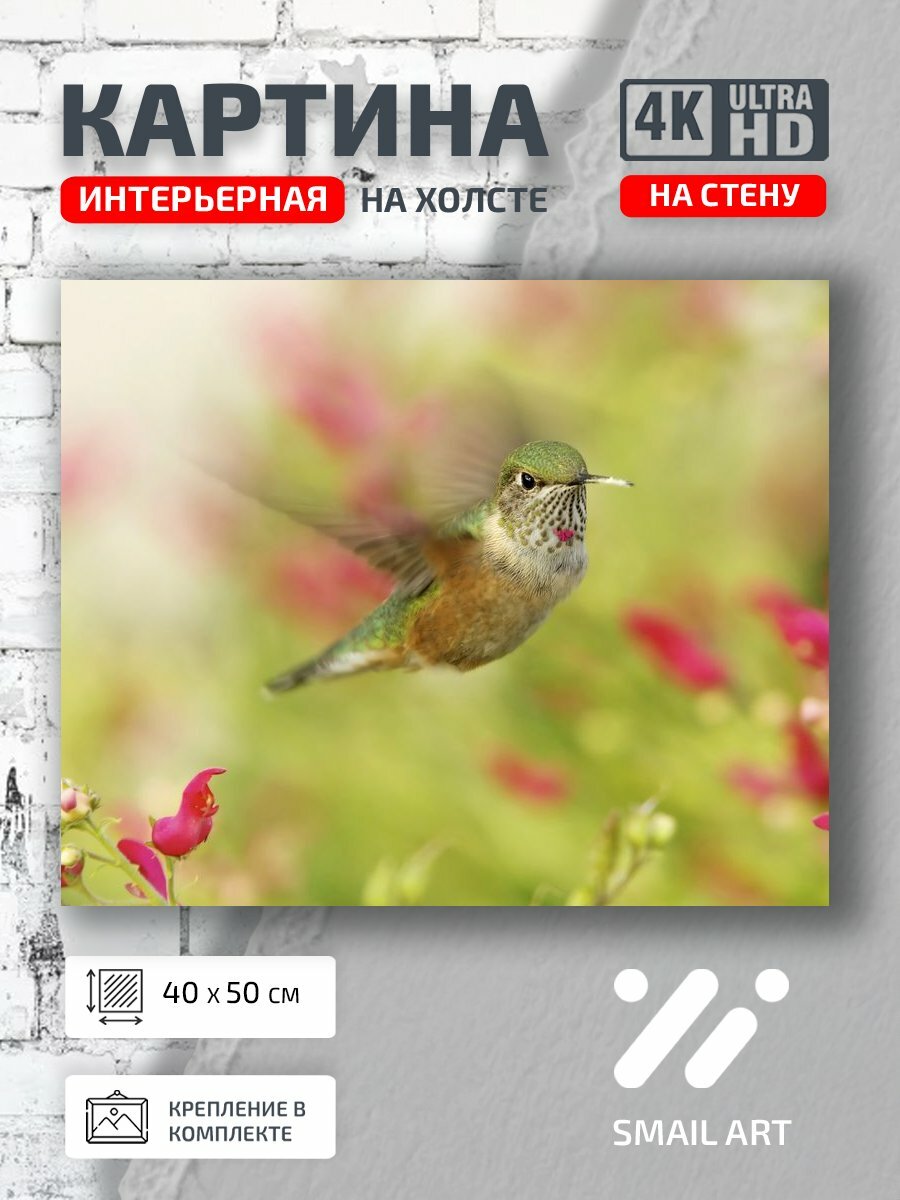 Картина на холсте интерьерная 40 на 50 на стену Колибри Mood для гостиной атмосфера декор