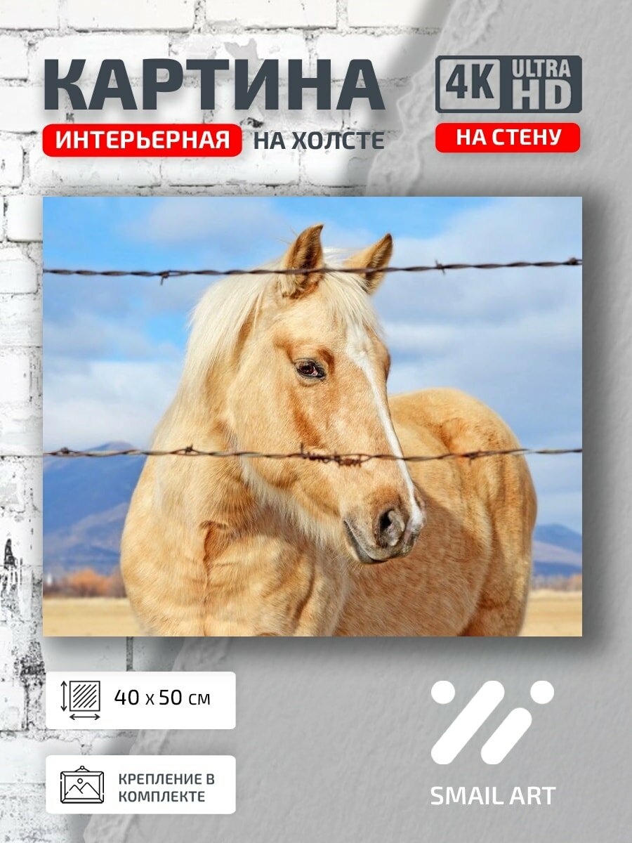 Картина на холсте интерьерная 40 на 50 на стену крупным планом для гостиной атмосфера