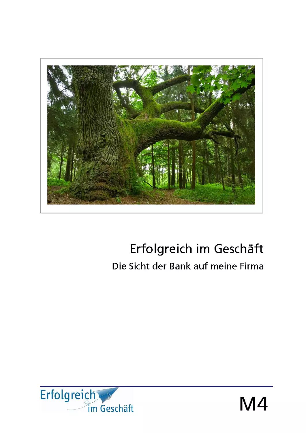 Modul 4: Die Sicht der Bank auf meine Firma [Цифровая книга]