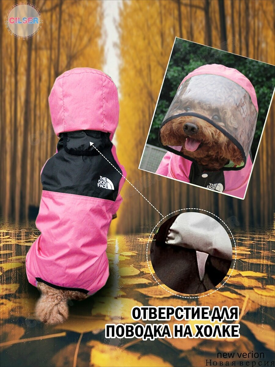 Одежда для животныхA — фото 1