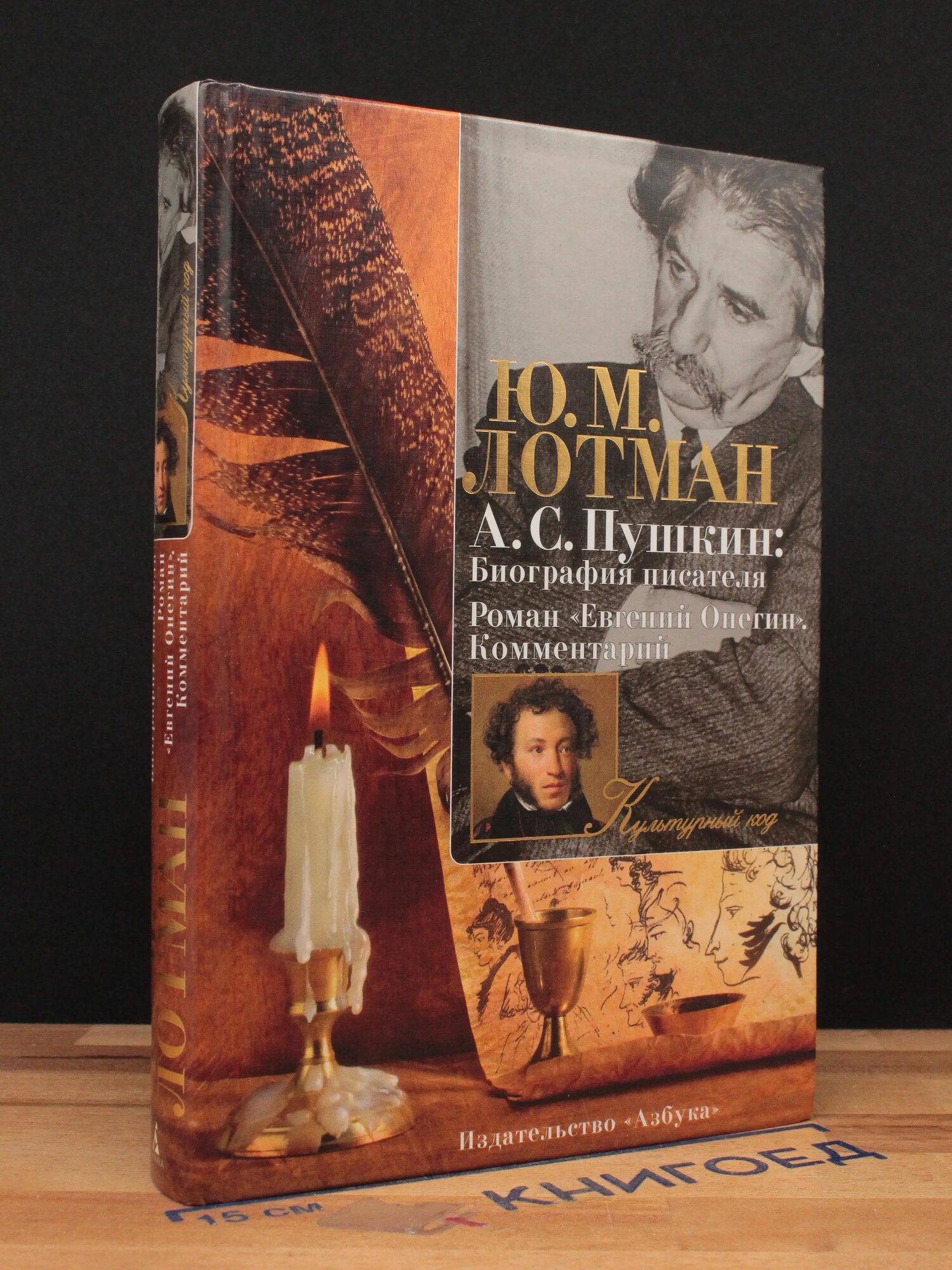 Книга. А. С. Пушкин. Биография писателя 2017 (20373946689534)