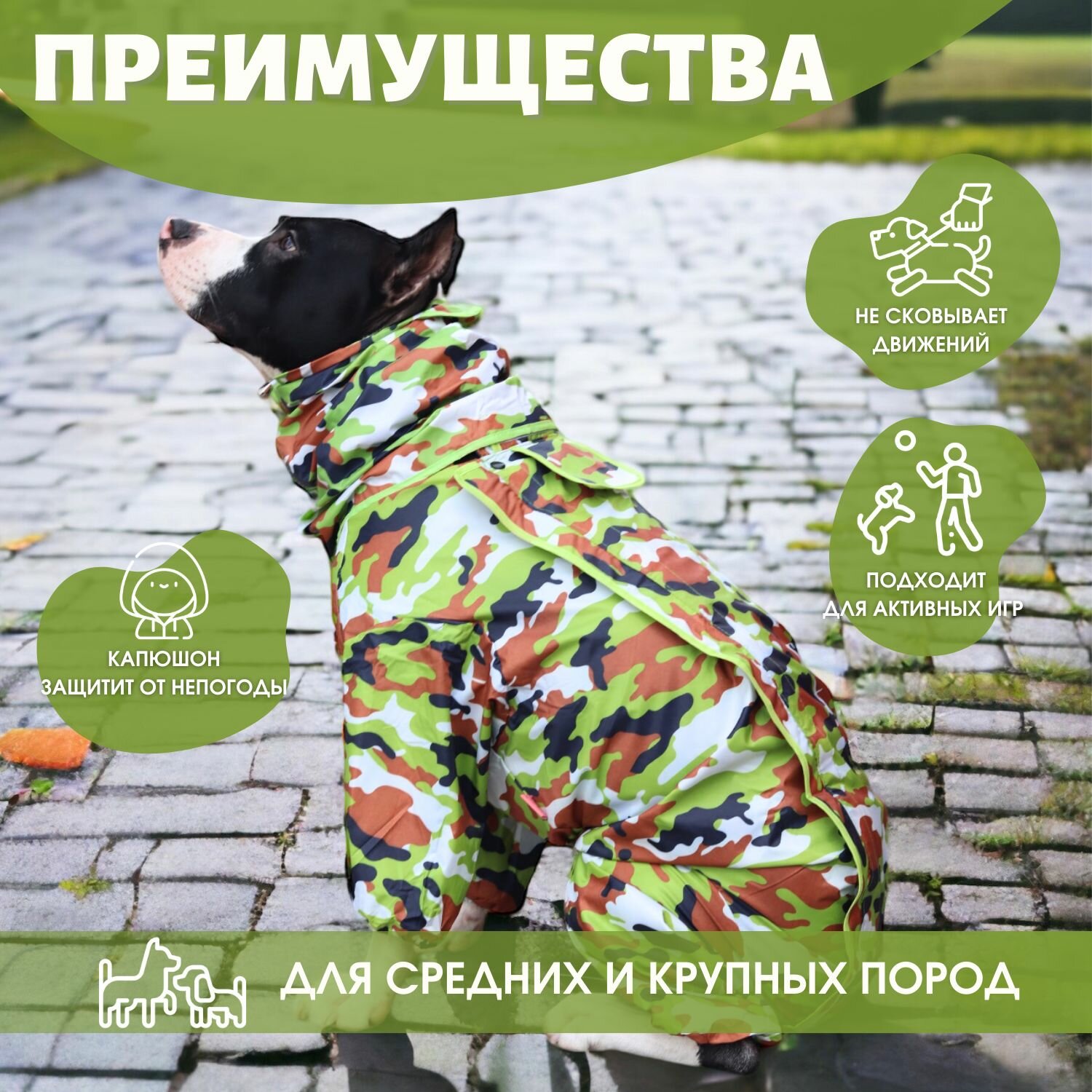 Одежда для животных — фото 1