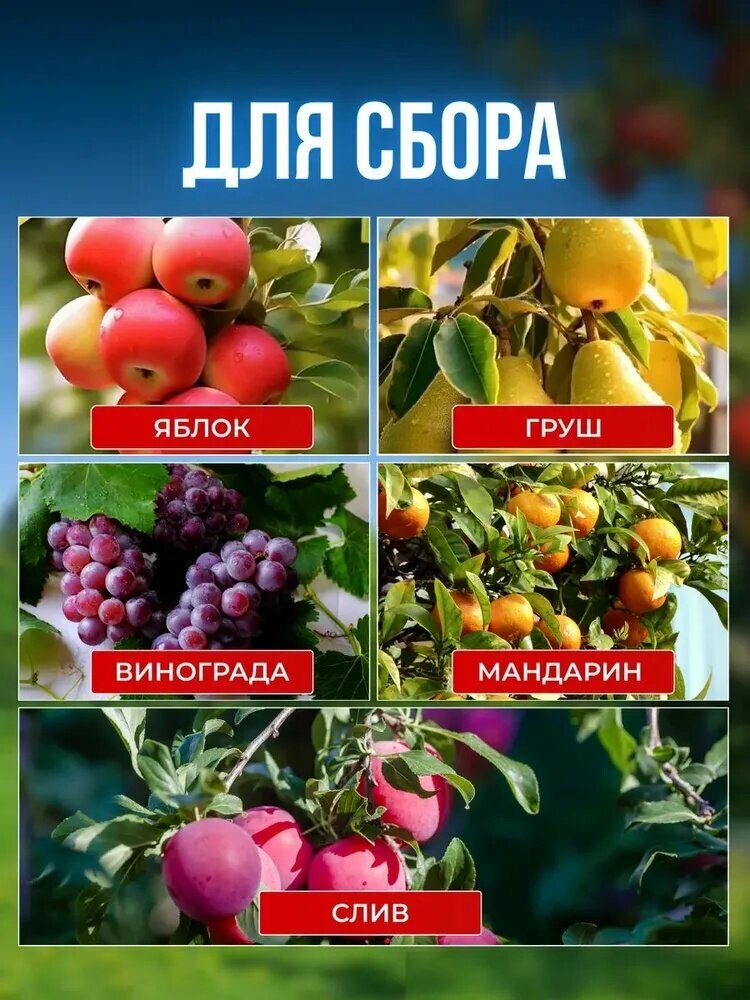 Плодосборник,40х16х12см — фото 1