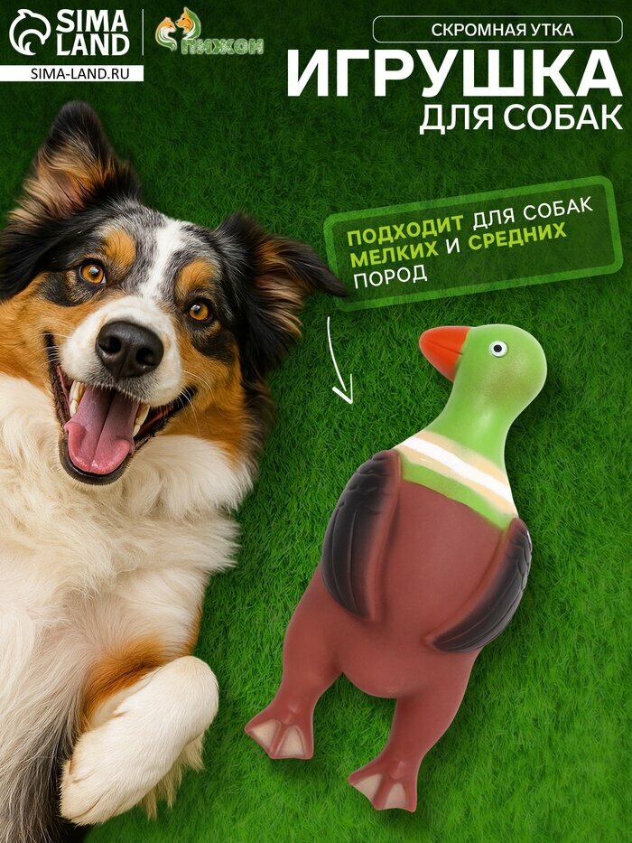 Игрушка пищащая Скромная утка для собак, 18×7×4 см, коричневая